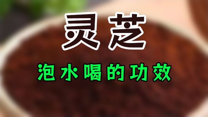 灵芝的正确吃法与用量