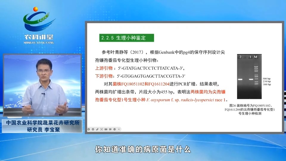 设施蔬菜连作障碍治理技术