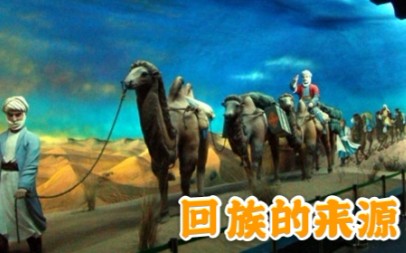 中国回族都来自哪个国家,主要分布在哪里