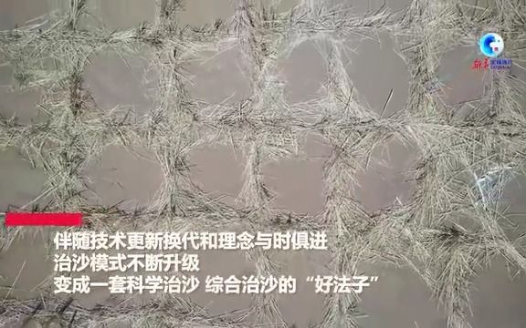 治沙之变:从一个“草格子”到一套“好法子”,草方格--防沙固沙治沙