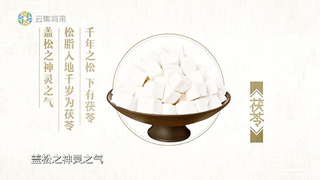 33秒带你了解中医药中茯苓的作用