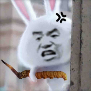 老虫草 