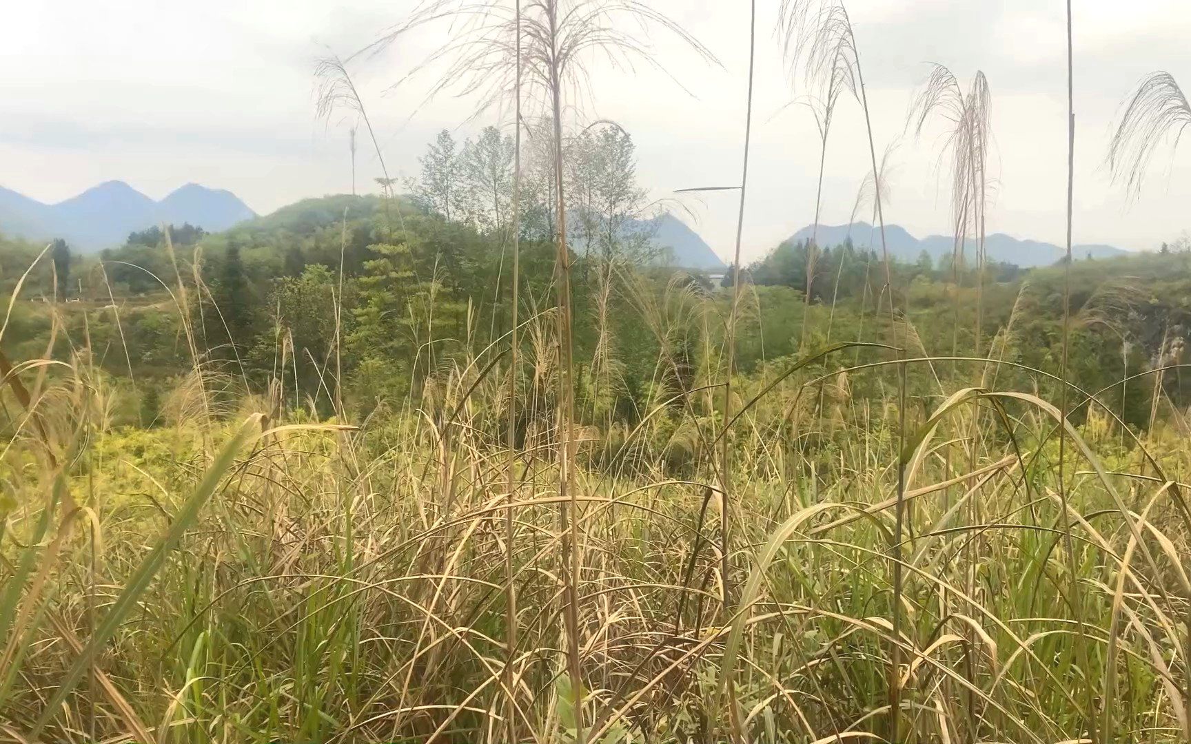 湖北风水宝地航拍,龙脉穿田渡水,朝山万峰献秀