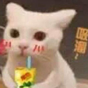 搜猫猫 