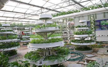 【公开课】无土栽培学