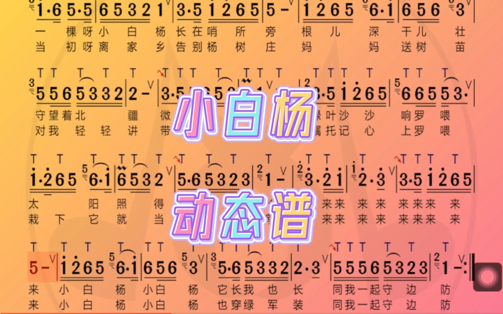 小白杨-电吹管-动态谱、技巧谱