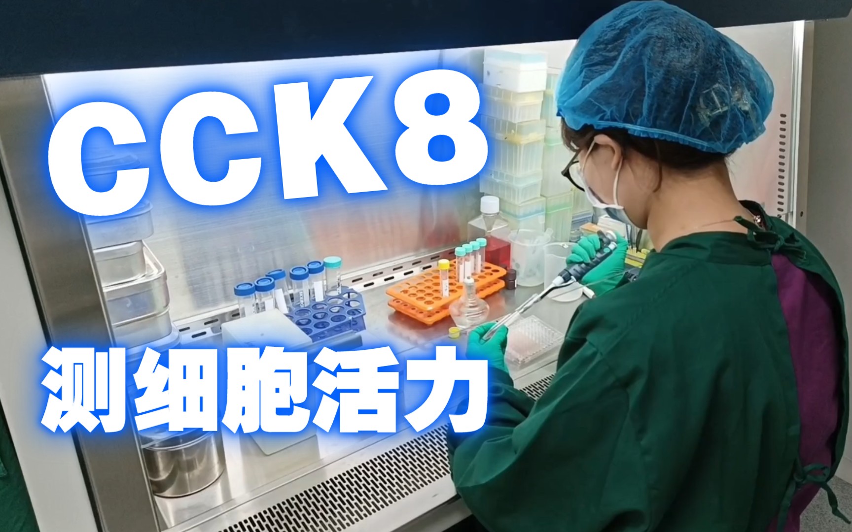 【实验室日常】导师当院士这事需要每天努力!| CCK8检测细胞活力