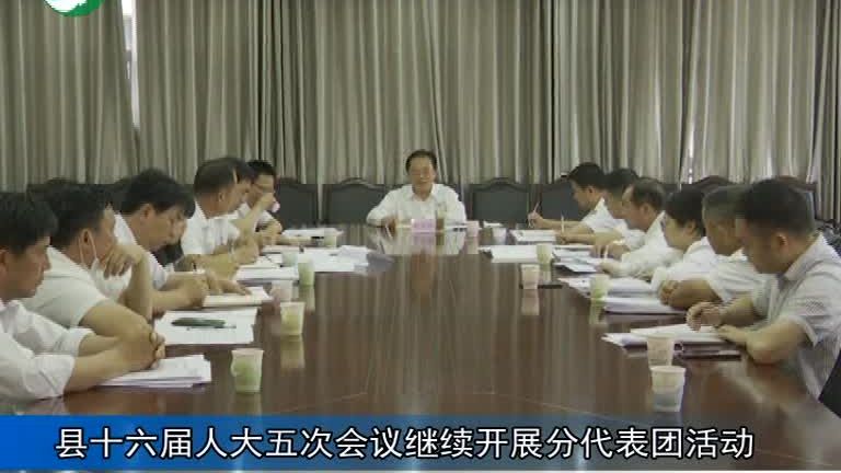 县十六届人大五次会议继续开展分代表团活动
