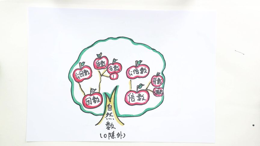 苹果树画因数与倍数思维导图