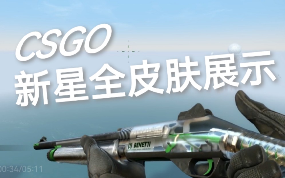 【CSGO】新星全皮肤展示+射击换弹展示