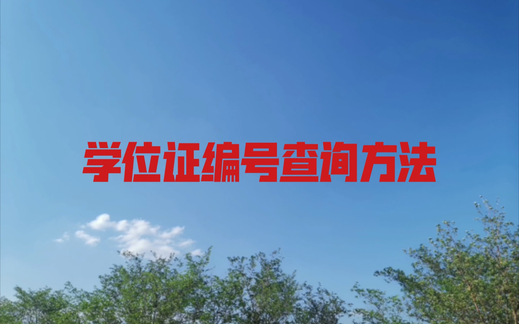 学位证编号查询方法教程
