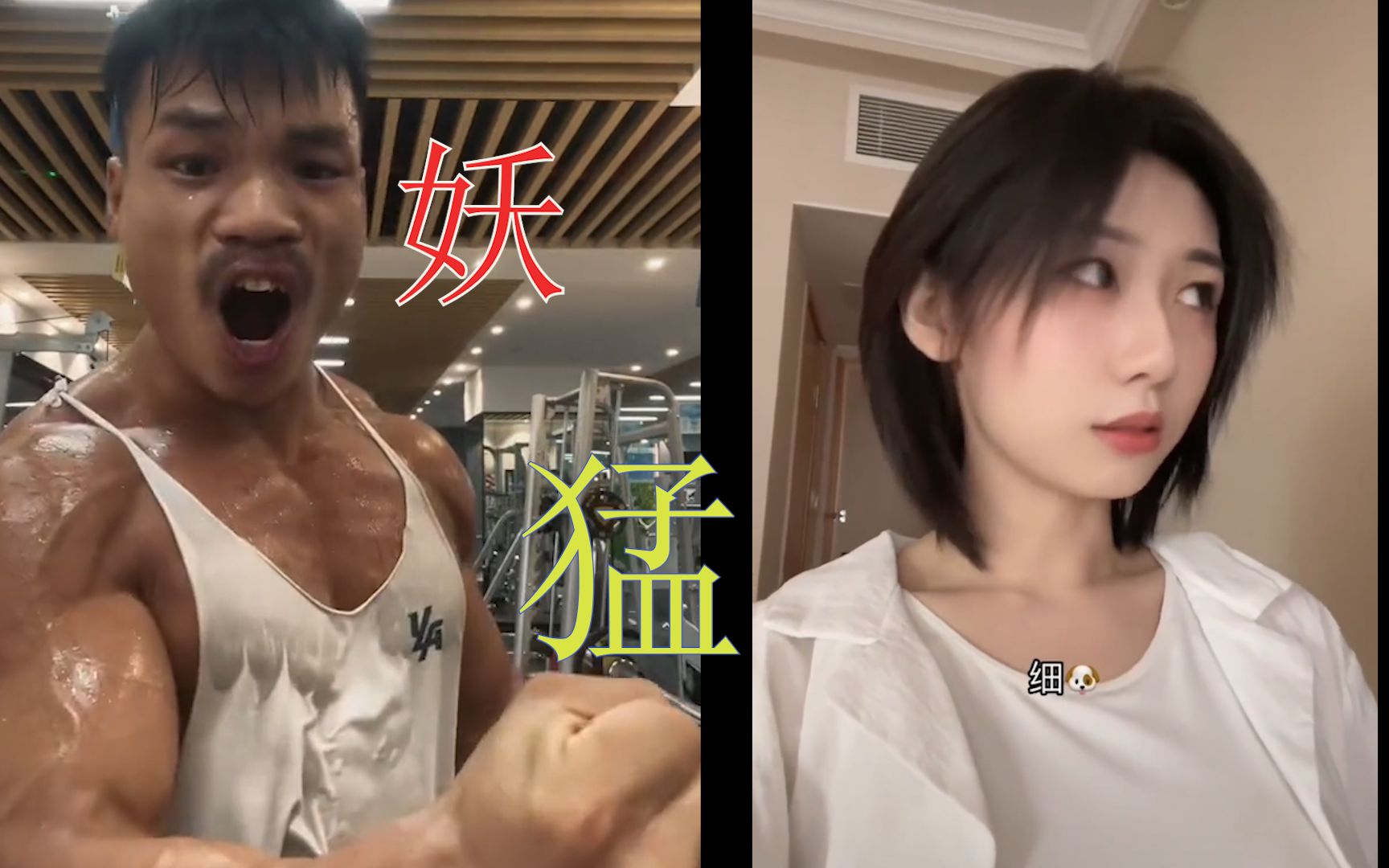 【行不行啊,细狗】⚡妖猛⚡你是灵呀