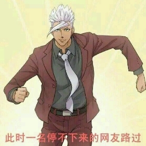 不停下来的奥尔加团长 