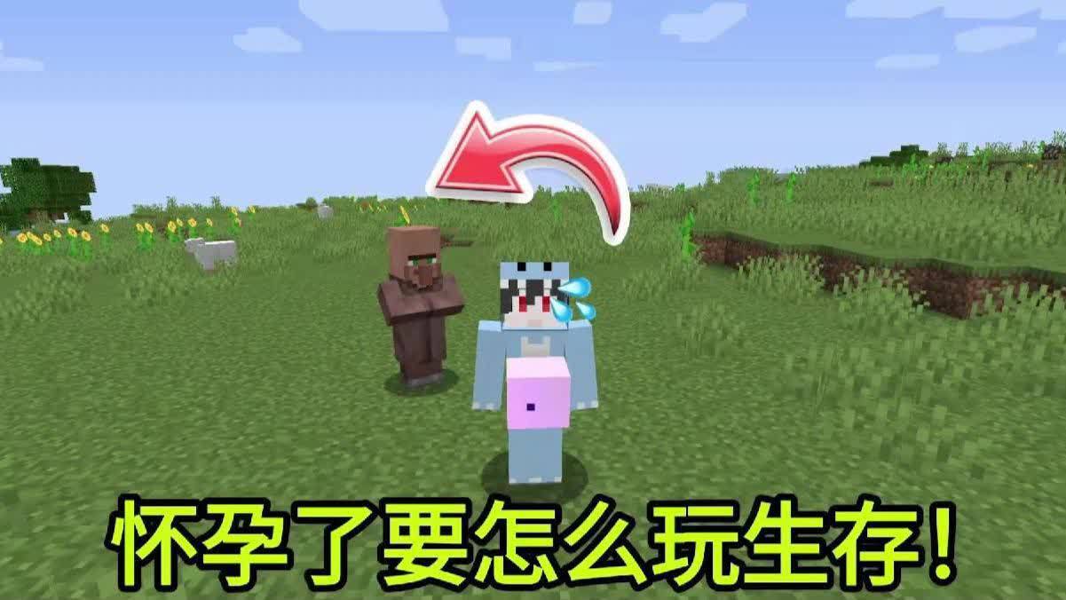 我的世界怀孕生存 -挑战挖到一颗钻石!