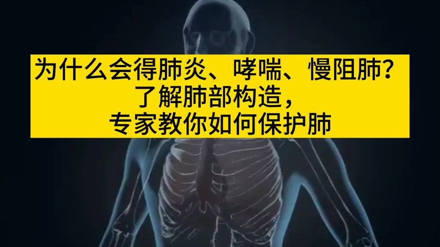 肺是怎样呼吸的?为何会得慢阻肺?专家教你如何养肺