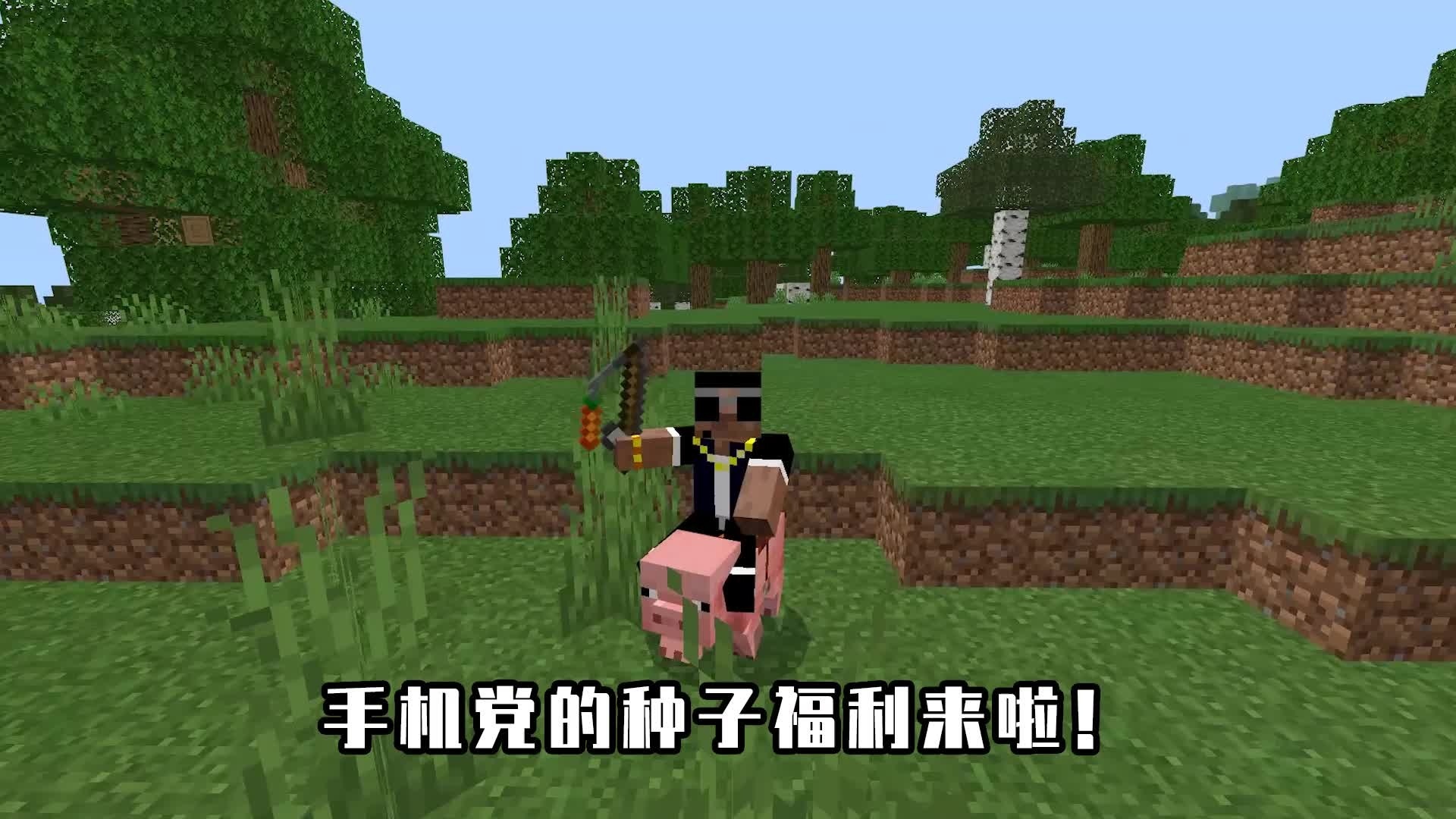 我的世界:0.01%几率才会出现的种子?良心推荐