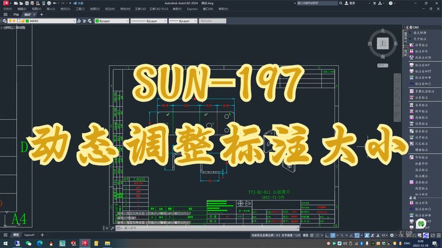 sun-197动态调整标注大小