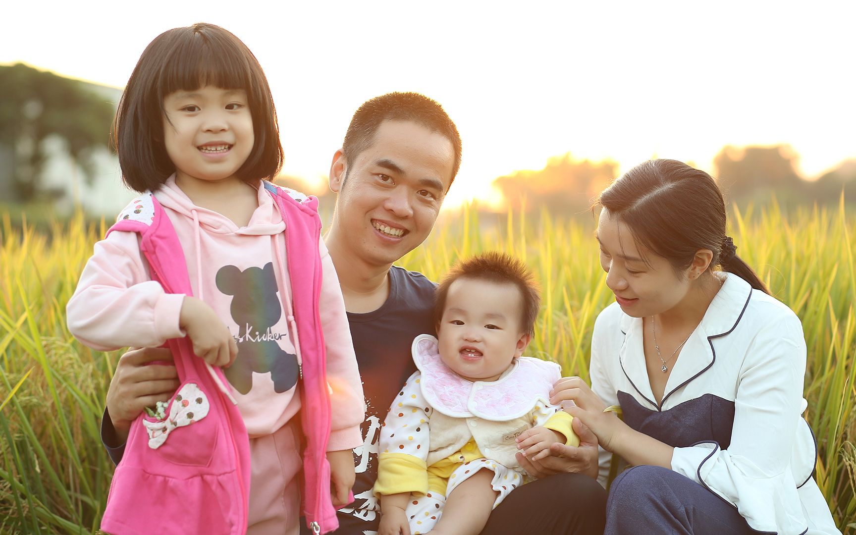 潮州意溪稻谷成熟了,一望无际的稻田,美不胜收