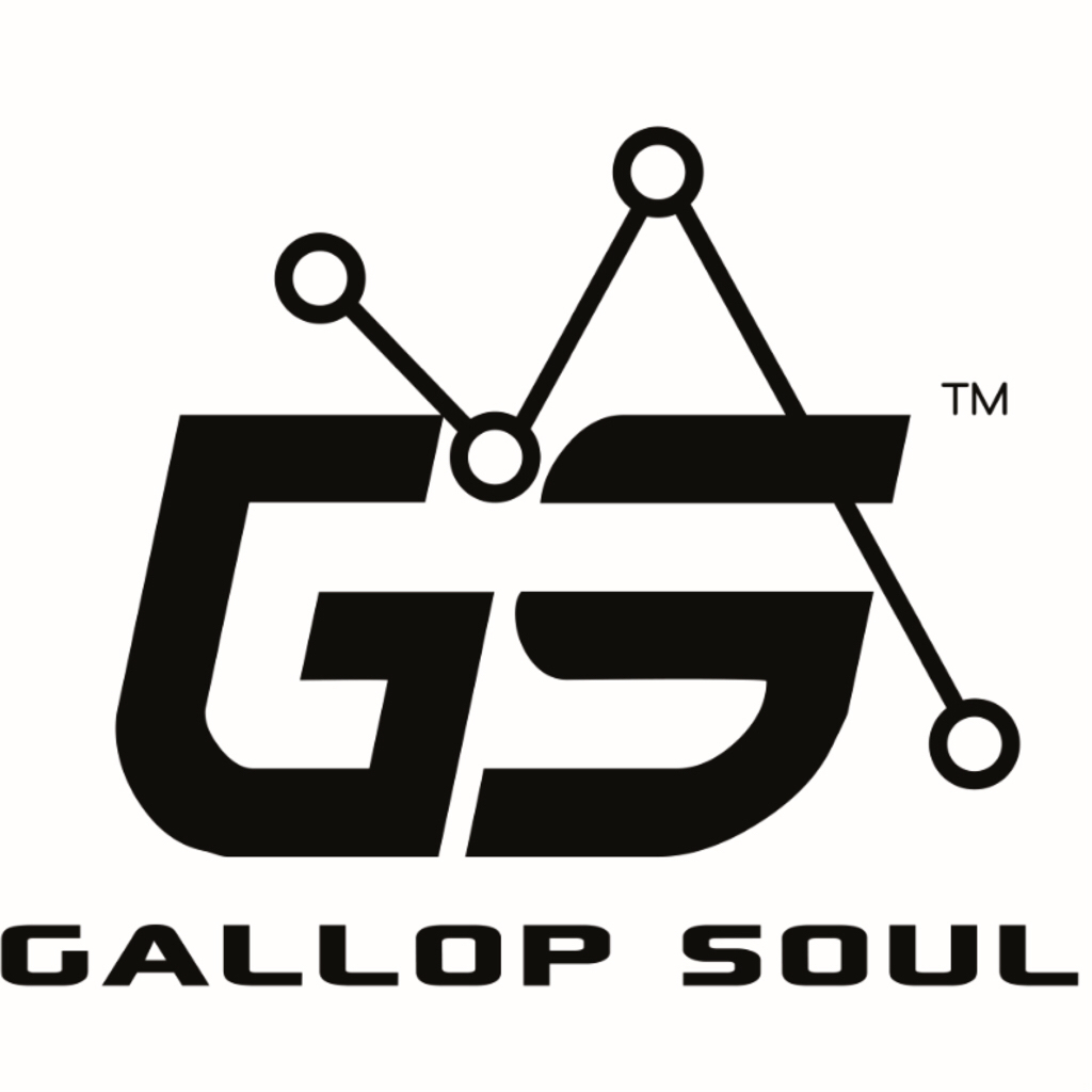 GS长板 