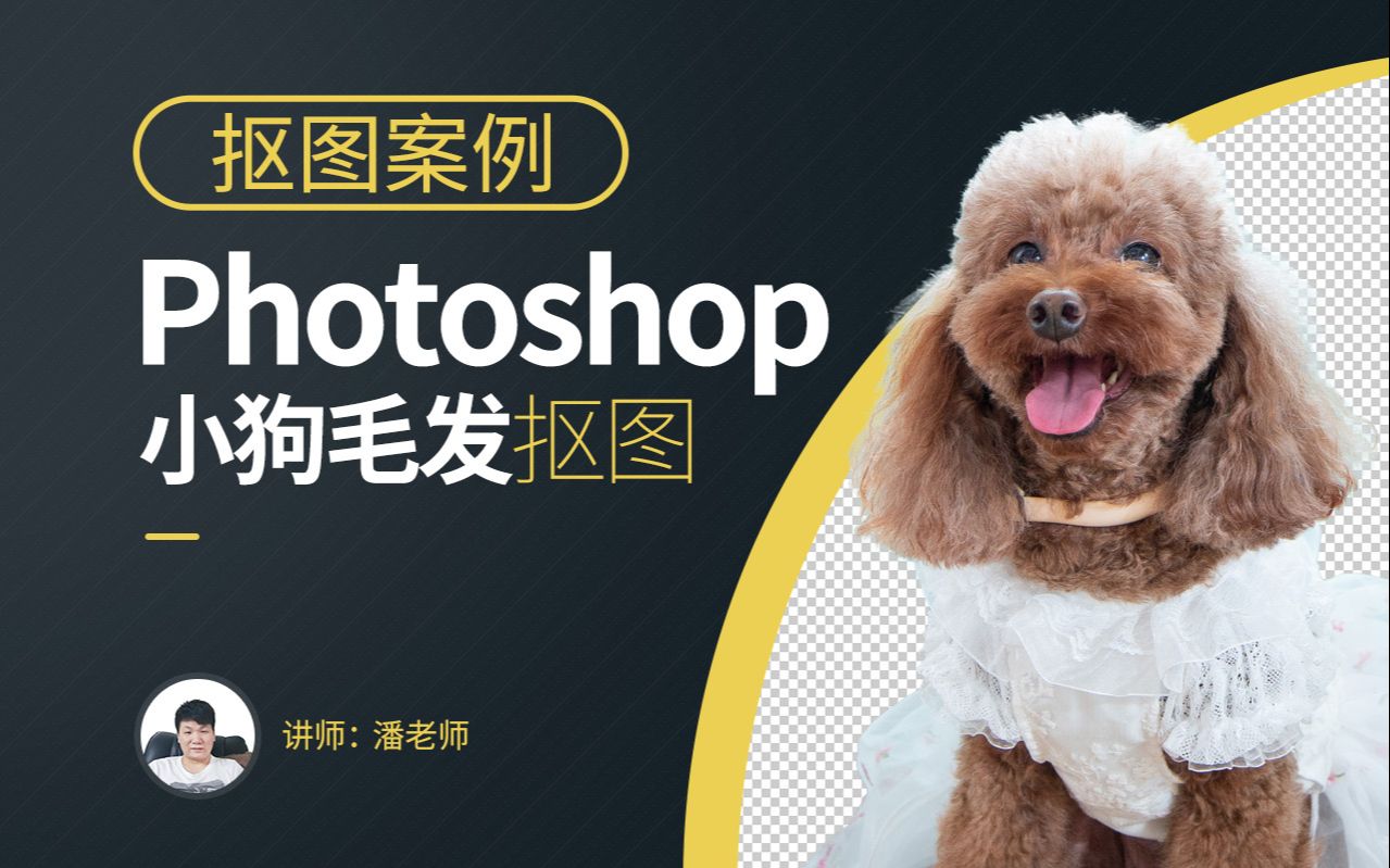 【PS抠图技巧】Photoshop动物小狗毛发抠图方法与技巧练习案例教程