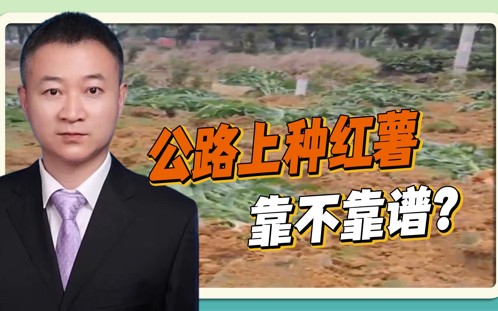 公路上种红薯合理吗?王雨濛:非法占用农用地行为要杜绝