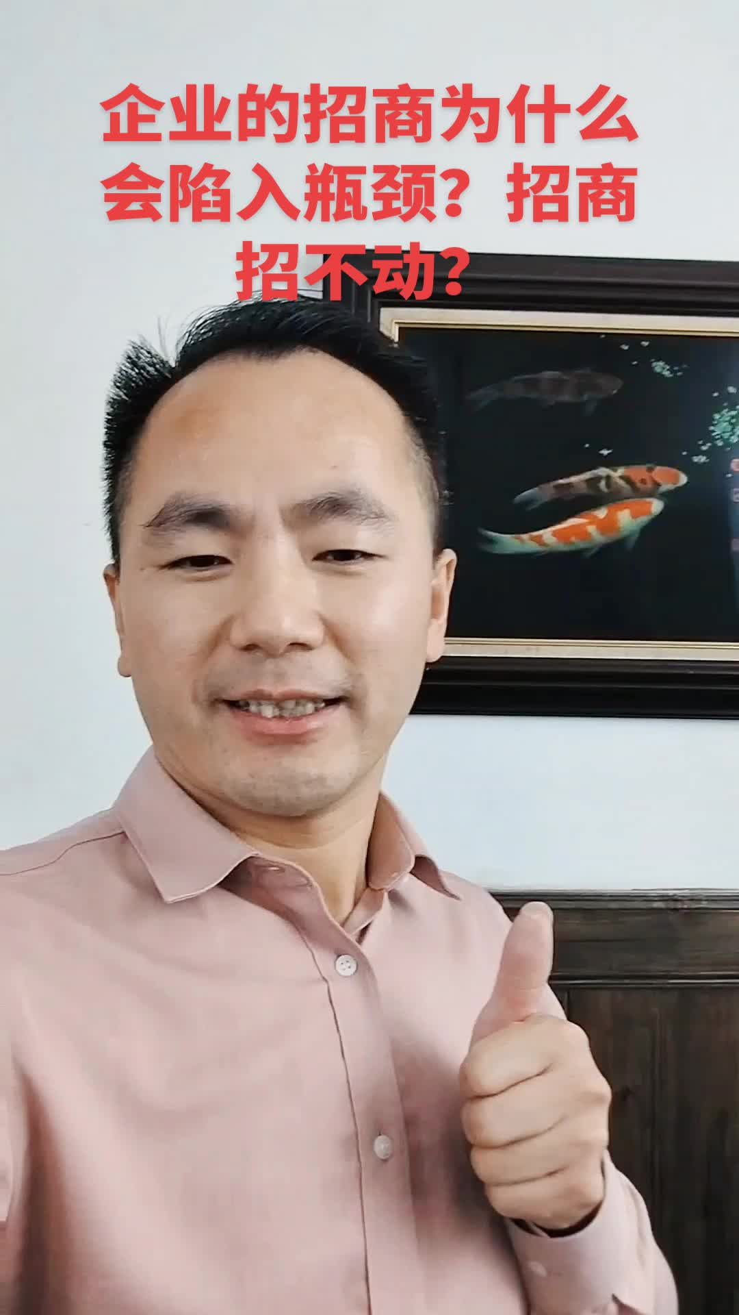 #招商#方案策划 #方案 #销讲#演说#演讲