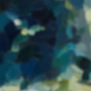 迷因杂谈memeclips 