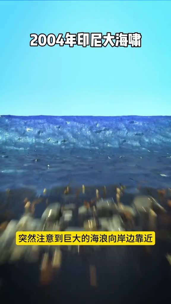 历史伤亡最大海啸,2004年印度洋大海啸