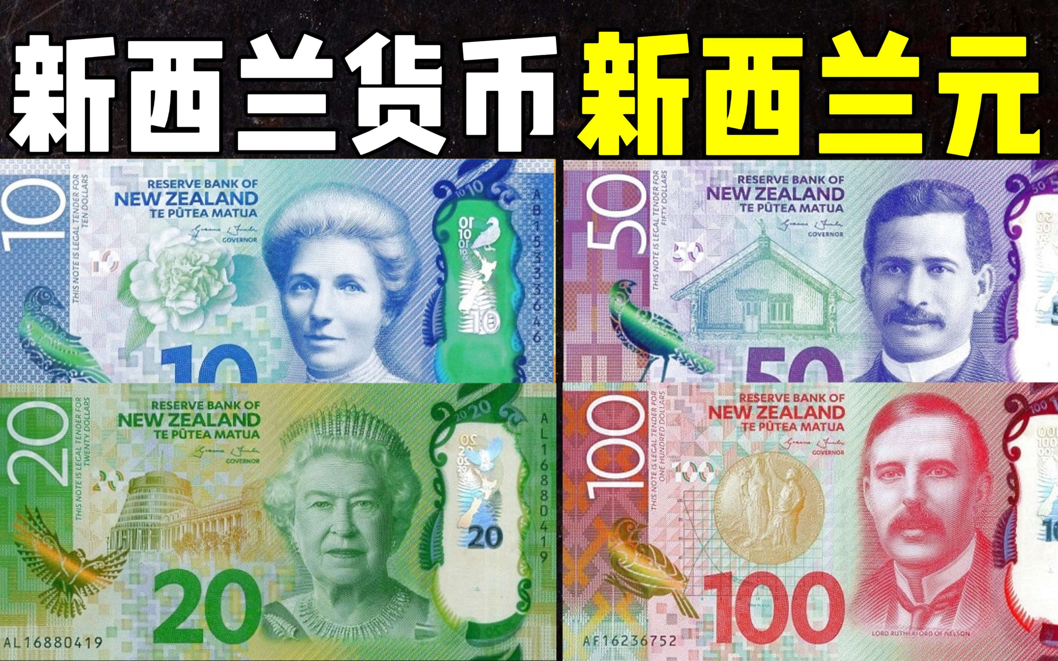 全球货币系列之新西兰元:新西兰钱币面值5新西兰元-100新西兰元