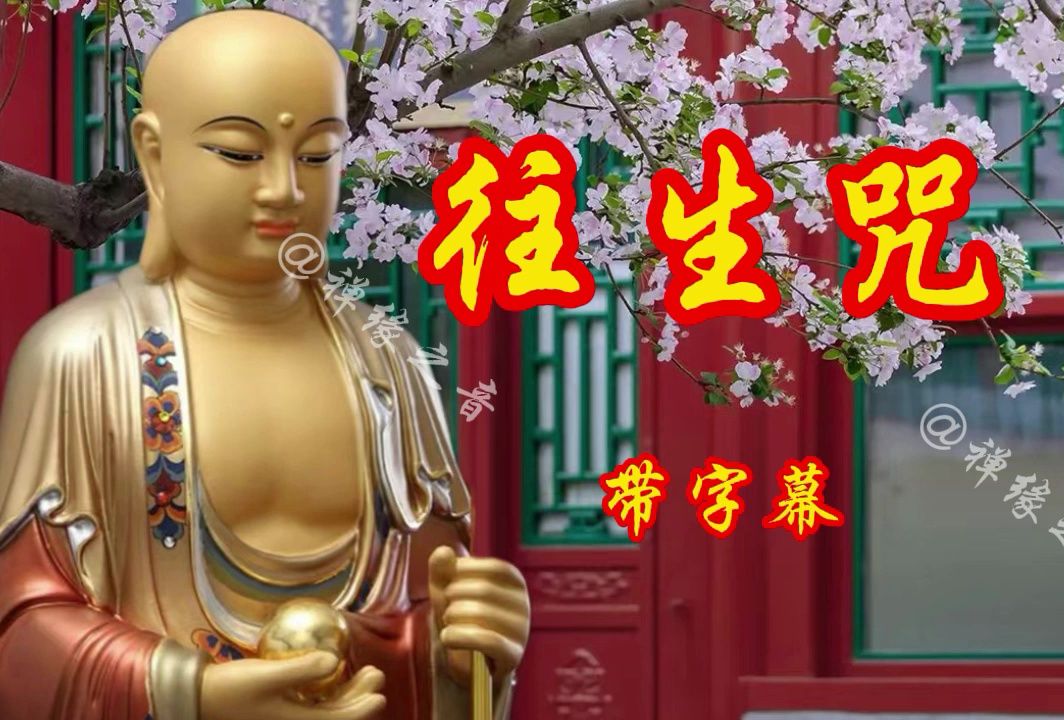 【经典加长版】《往生咒》愿所求皆所愿,评论区留祝福。