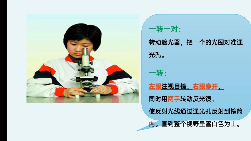初中生物,人教版,七年级上学期显微镜