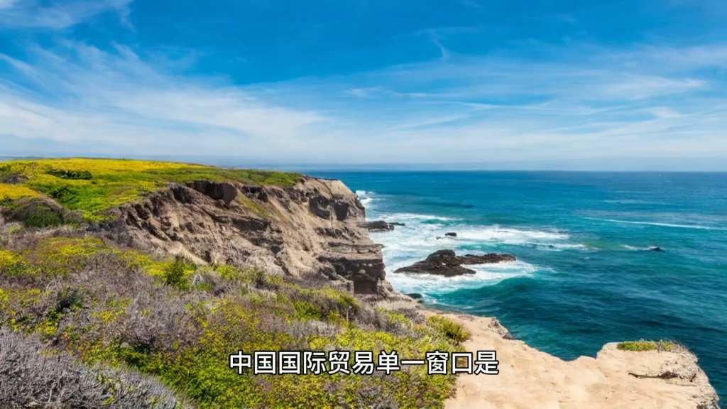 #中国国际贸易单一窗口是什么意思#中国国际贸易单一窗口是干什么用...