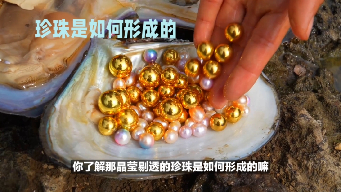 珍珠的生成过程:自然奇观的诞生
