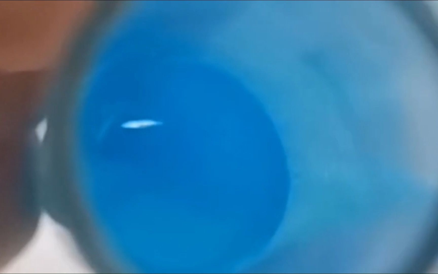 【化学实验】氢氧化钠溶液与硫酸铜溶液反应