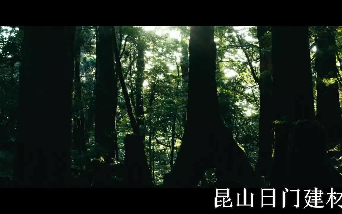 日门建材室内门|整体家居定制|高品质生活