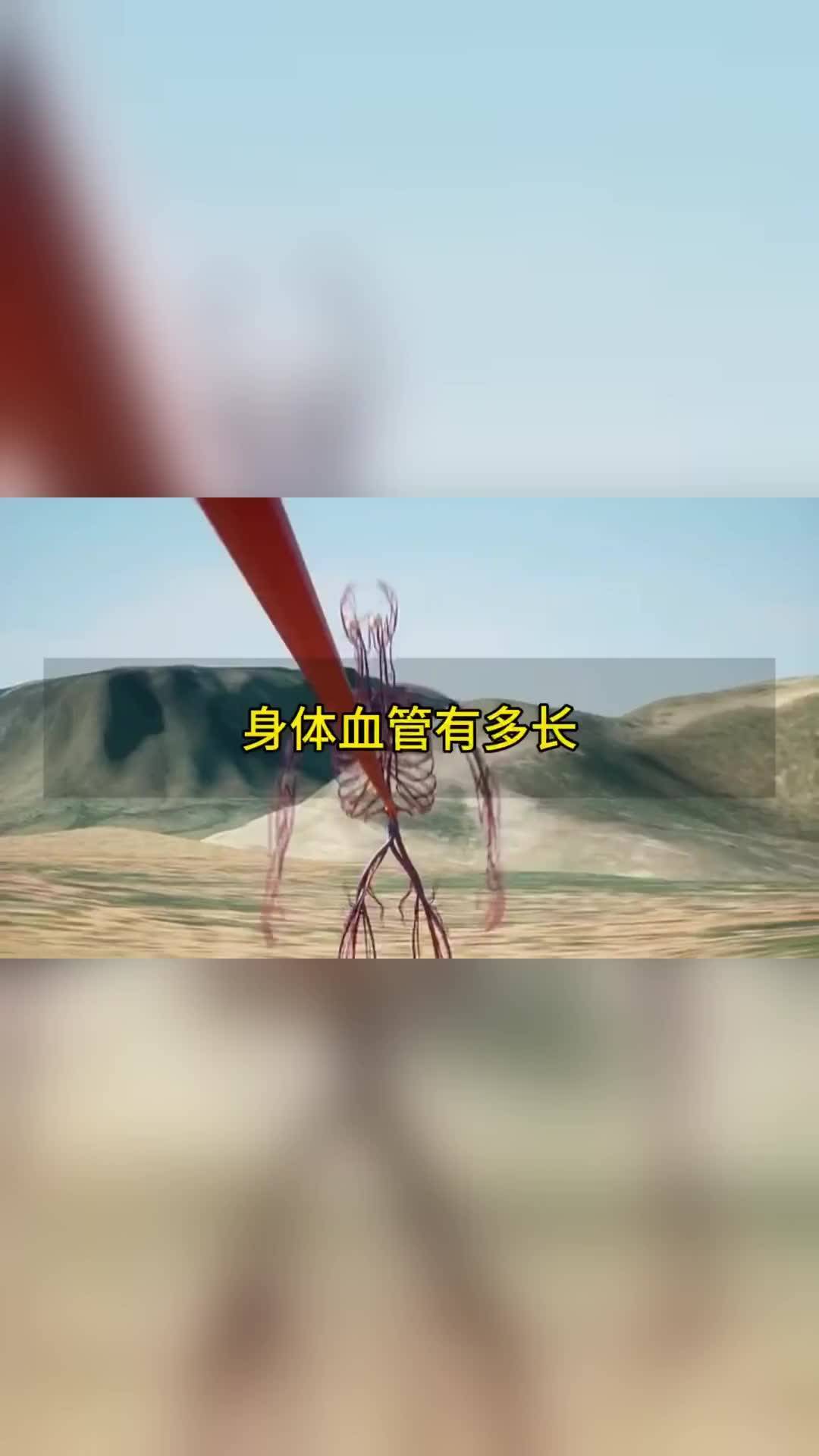 难以置信~人类身体血管有多长?
