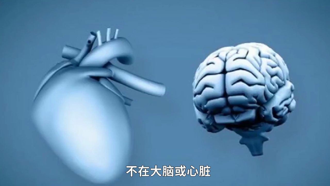 长期熬夜猝死,问题不在心脏,在肠道