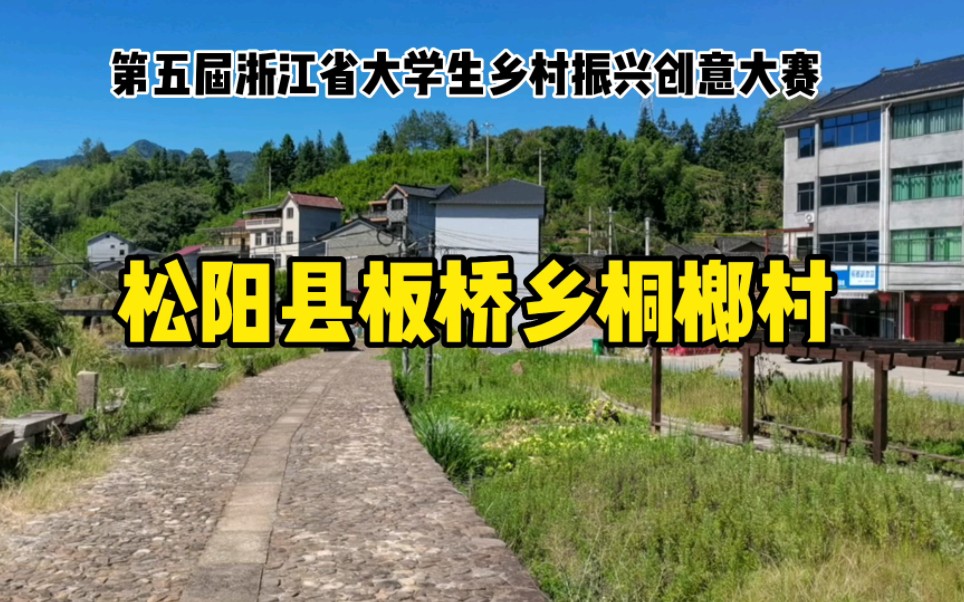 ...金华职业技术学院|松阳县板桥乡桐榔村|水绘畲乡 三韵桐榔|总结感想