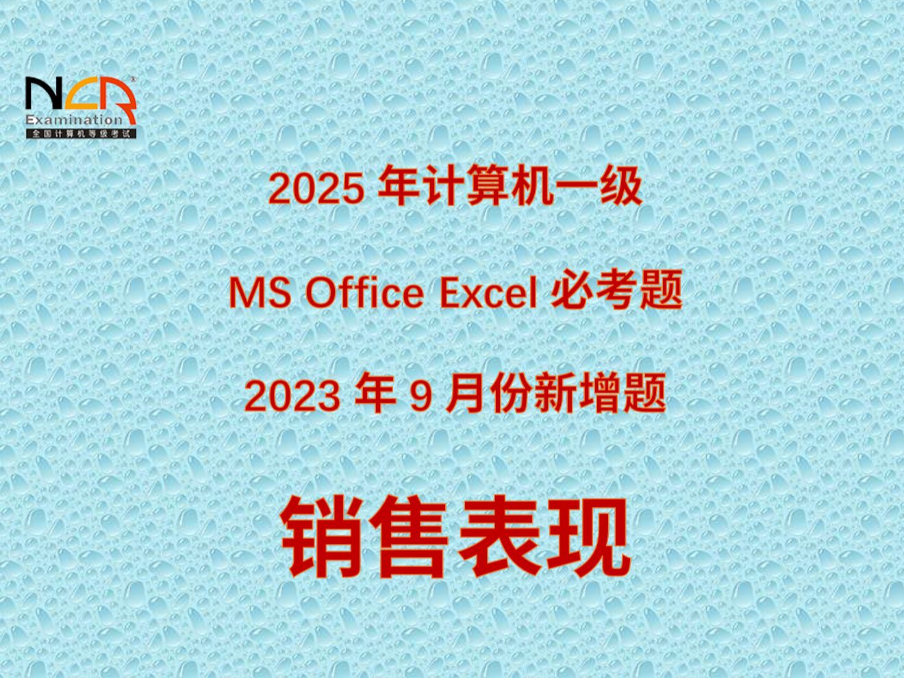 23年9月新增计算机一级MS Office Excel3:销售表现
