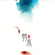 孤岛鲸 