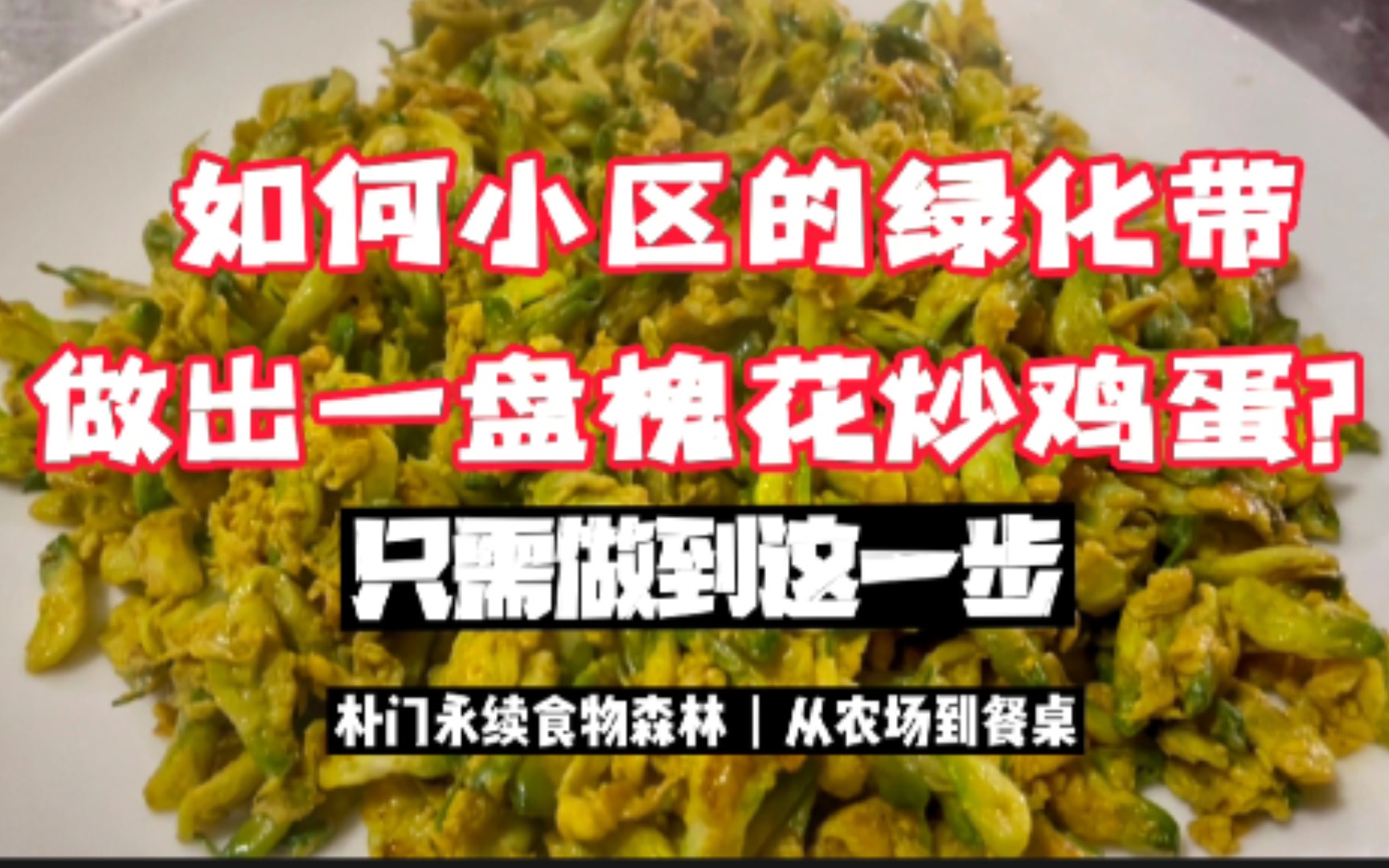 食物森林体系可以做为菜荒季很好的补充。城市景观一直遵循工业化...