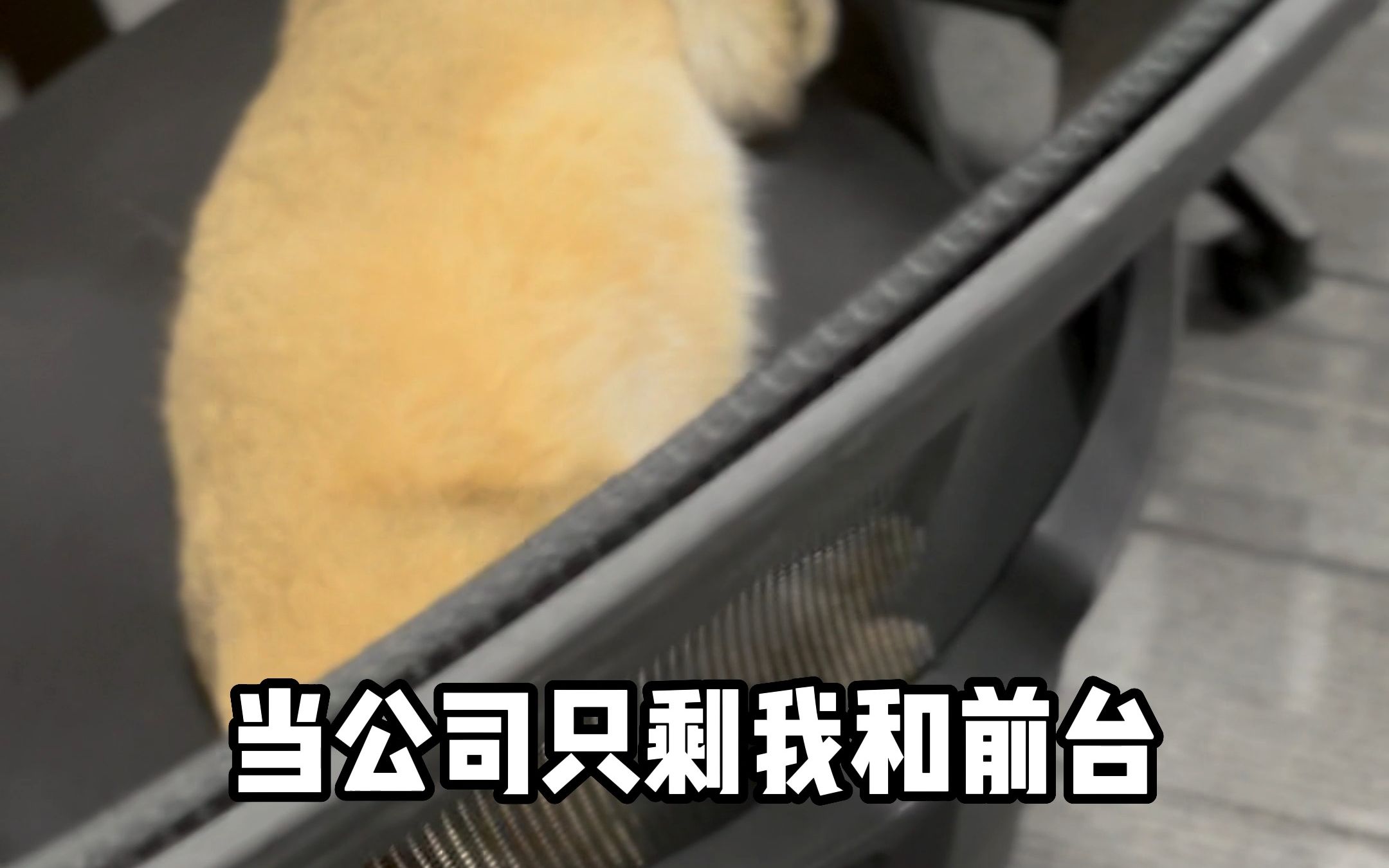 震惊!某公司前台竟在上班时间…