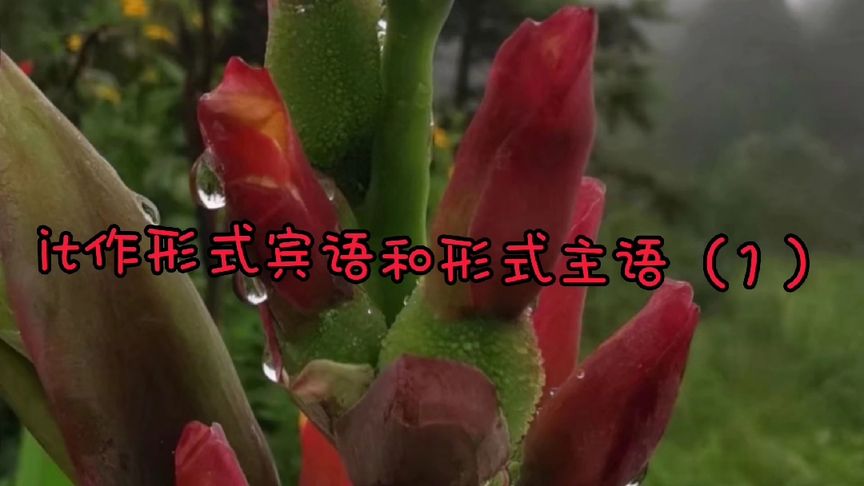 it作形式宾语和形式主语(1)
