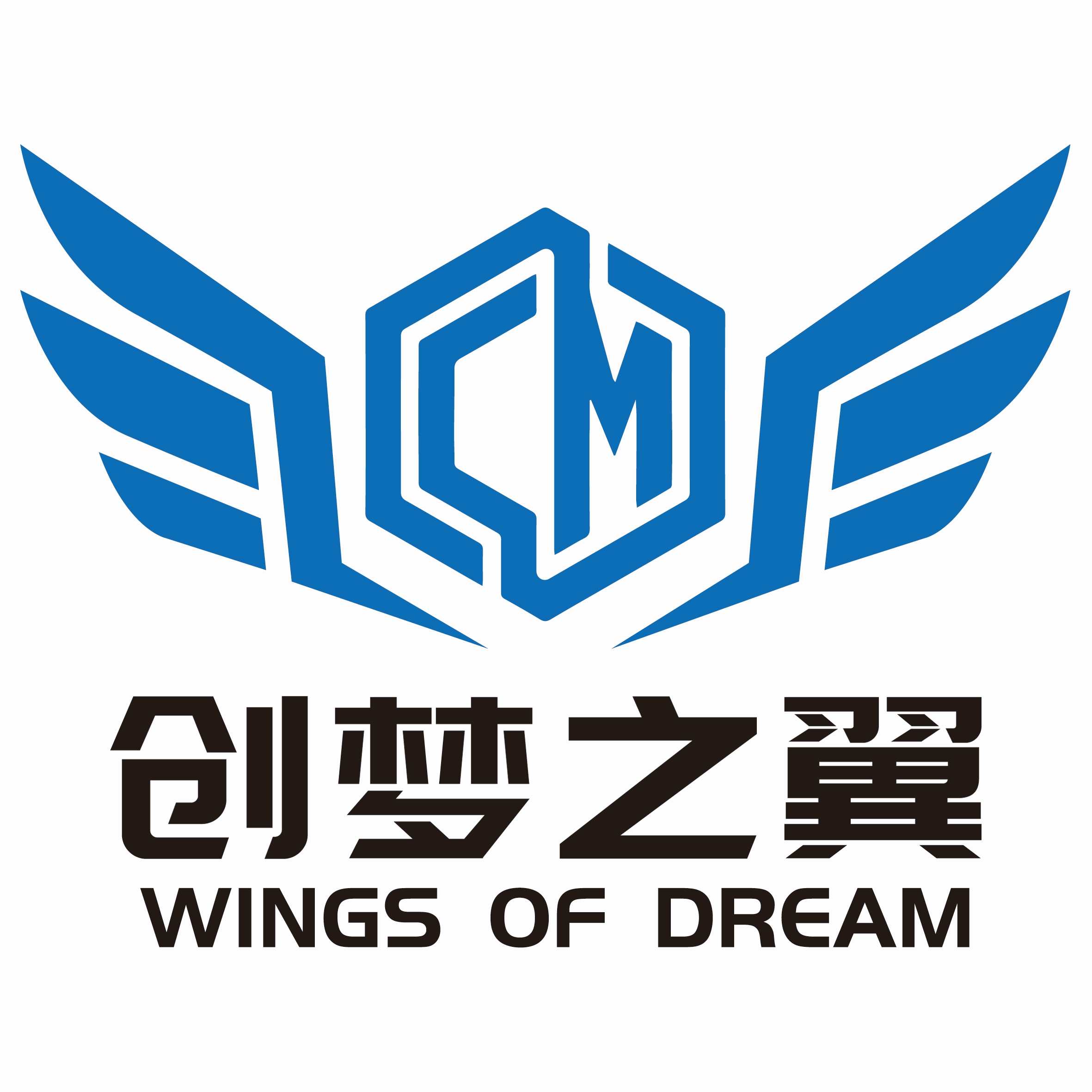 哈工程创梦之翼战队 