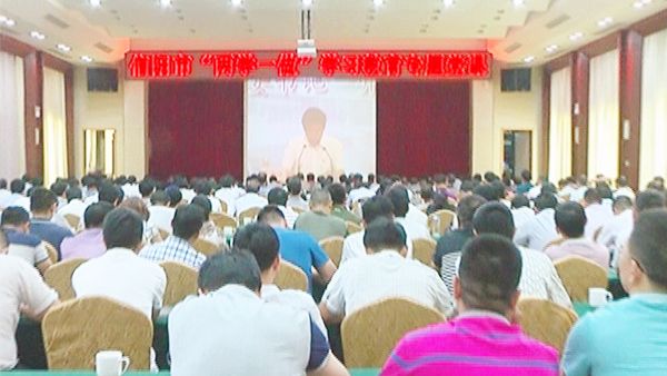 新县集中收听市“两学一做”学习教育专题党课