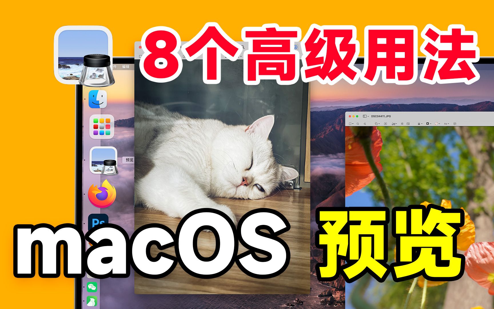 【Mac 预览】 用好预览这8个功能,我少装了一堆软件 | Devin同学