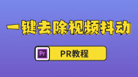 【PR教程】一键去除视频抖动