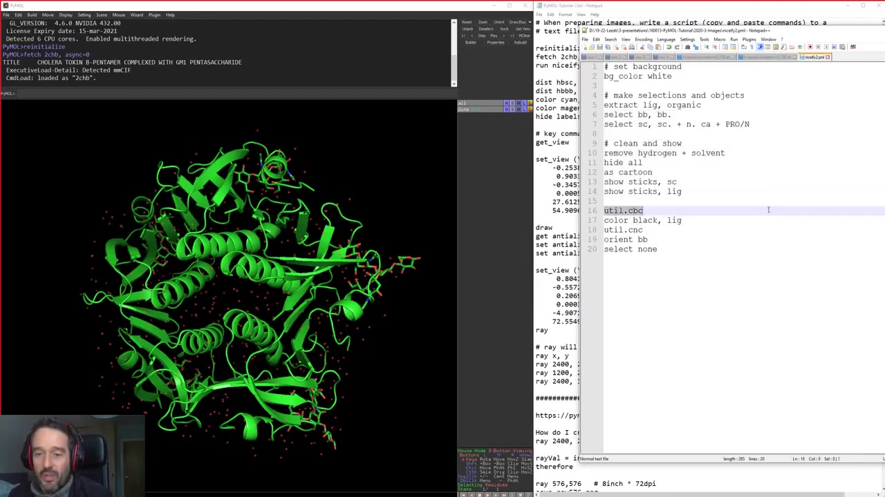 PyMOL教程3:高质量发表的图