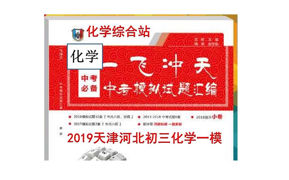 【讲一本】2019天津河北初三化学一模套卷