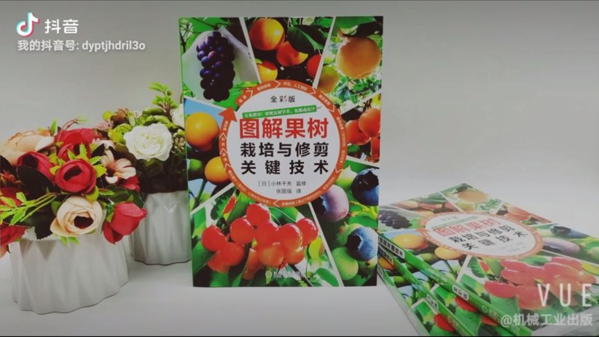 图解果树栽培与修剪关键技术